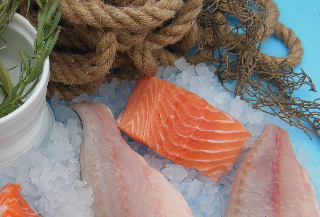 Motor City Seafood Co.